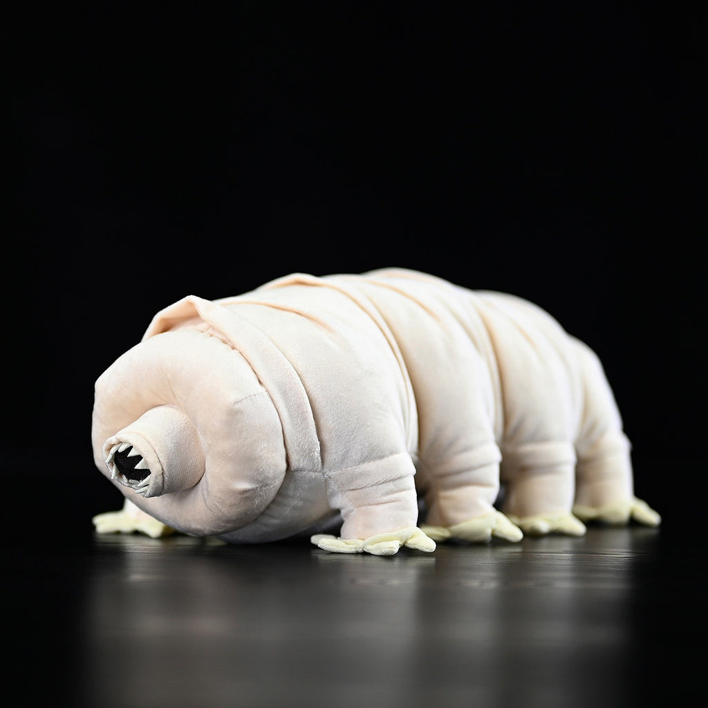 Realistic Water Bear Stuffed Animal Plush Toy, Tardigrades Plushies ...