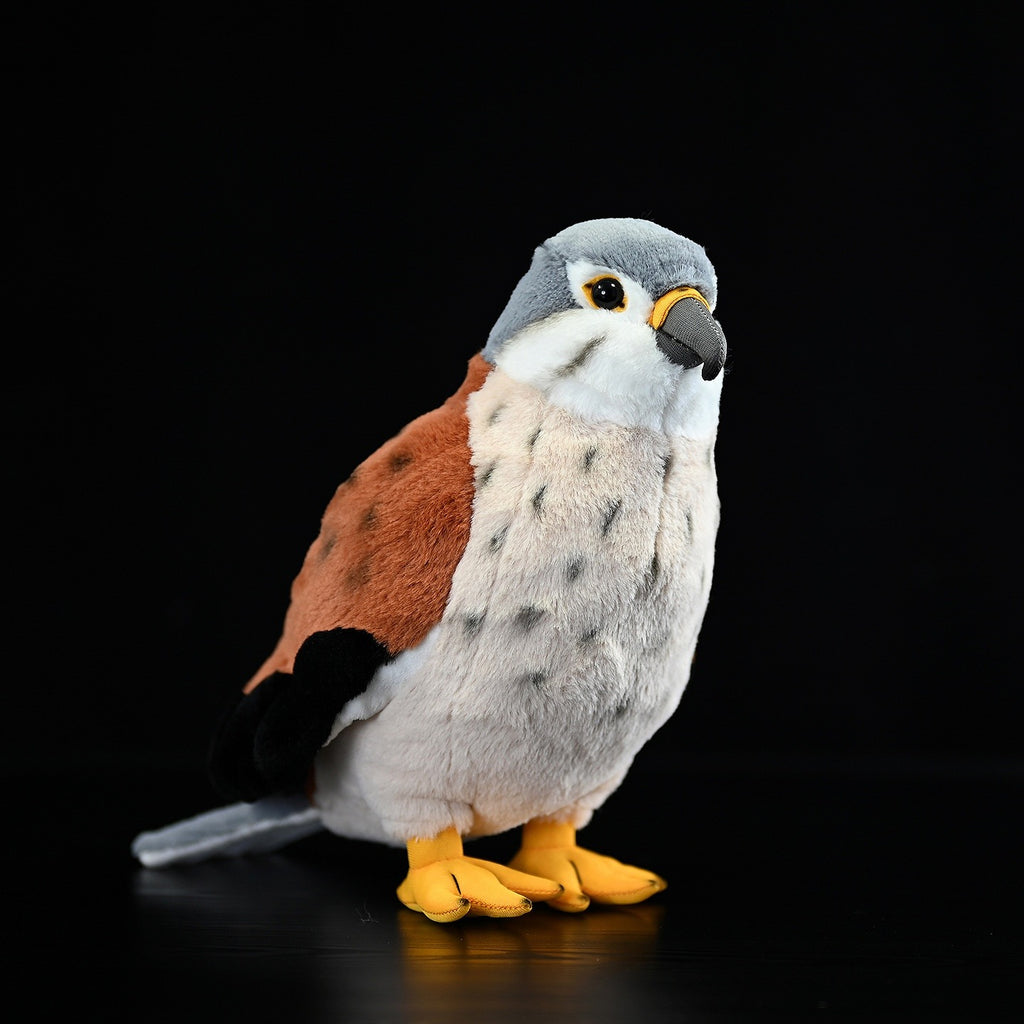 Realistic Common Kestrel Stuffed Animal Plush Toy, Bird Plushies – KEAIART