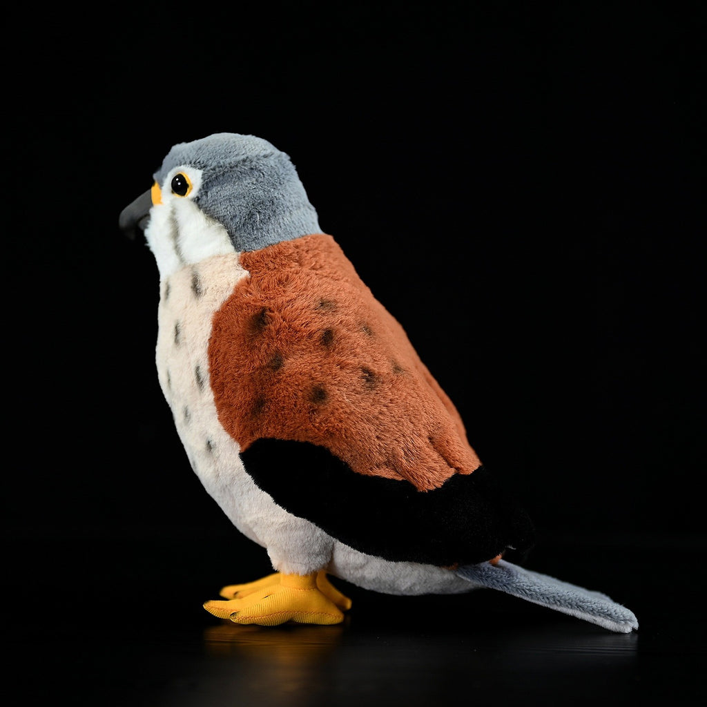 Realistic Common Kestrel Stuffed Animal Plush Toy, Bird Plushies – KEAIART