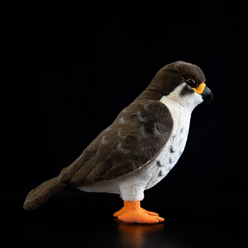 Realistic Peregrine Falcon Stuffed Animal Plush Toy, Bird Plushies ...