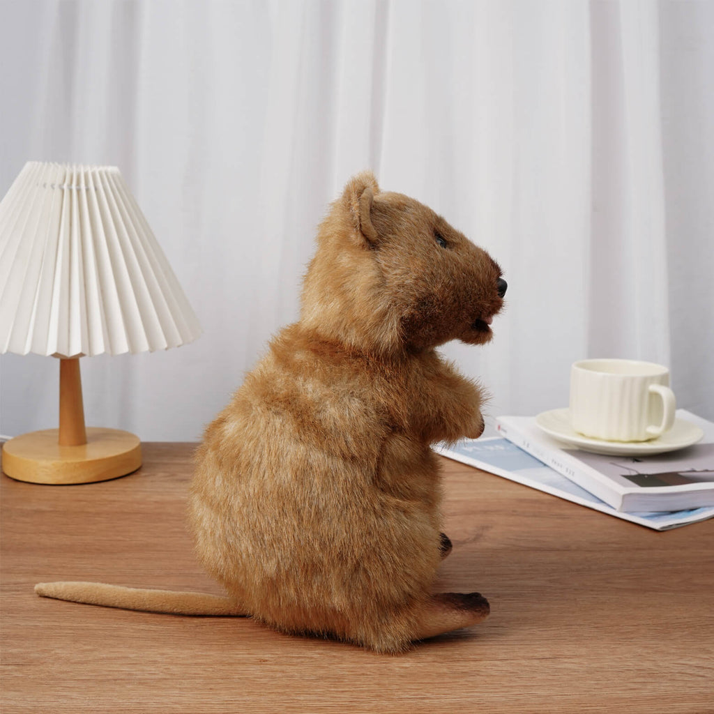 Cute Quokka Stuffed Animal Plush Toy, Australian Animal Plushies – KEAIART