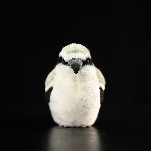 Realistic Shrike Bird Stuffed Animal Plush Toy, Bird Plushies – KEAIART