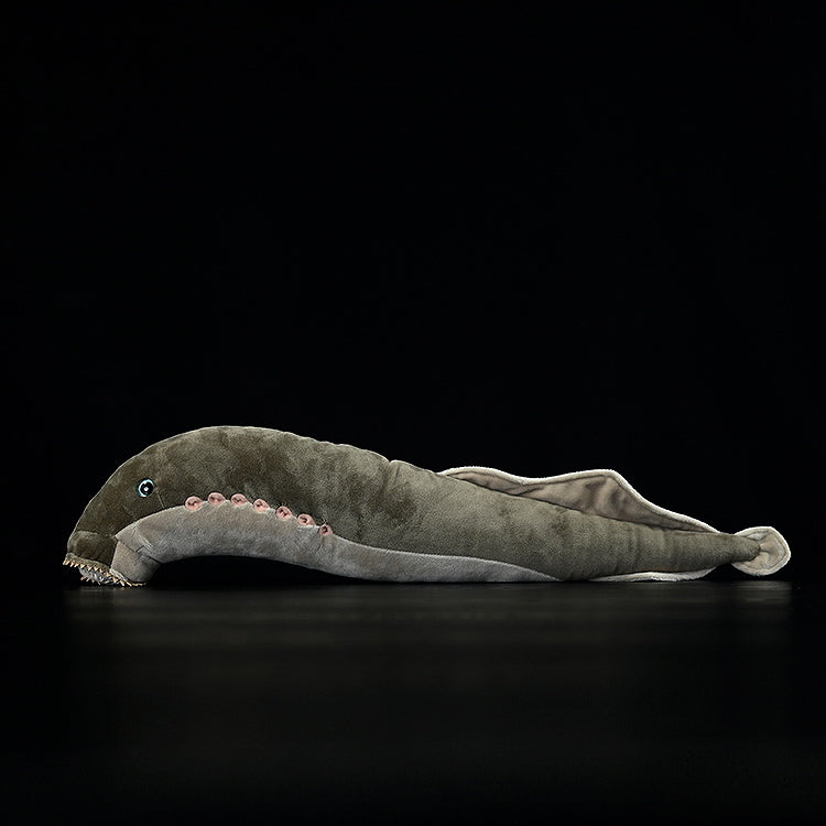 Realistic Sea Lamprey Stuffed Animal Plush Toy, Fish Plushies – KEAIART