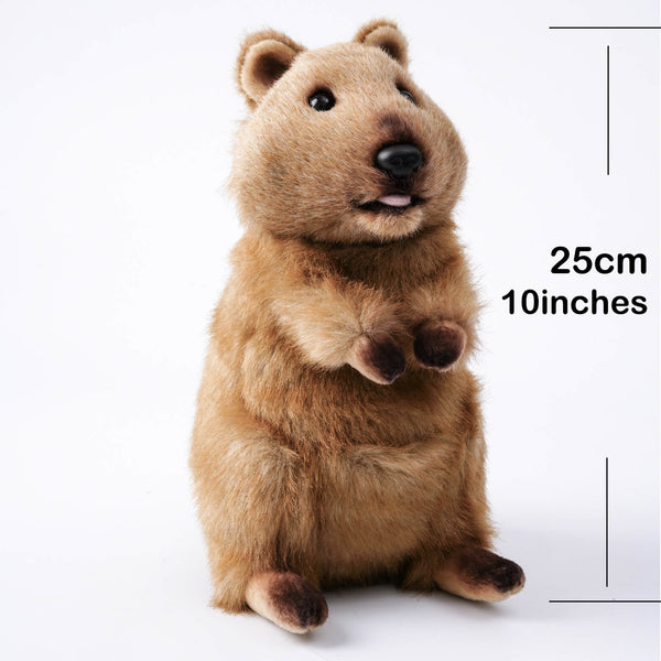 Cute Quokka Stuffed Animal Plush Toy, Australian Animal Plushies – KEAIART