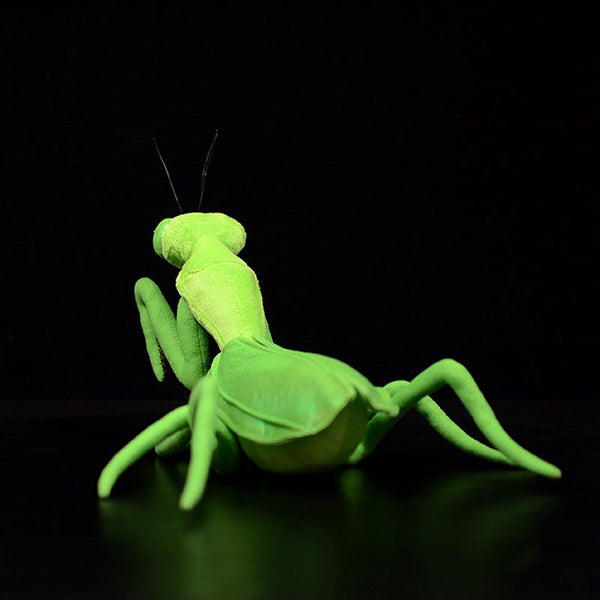 Realistic Mantis Stuffed Animal Plush Toy – KEAIART