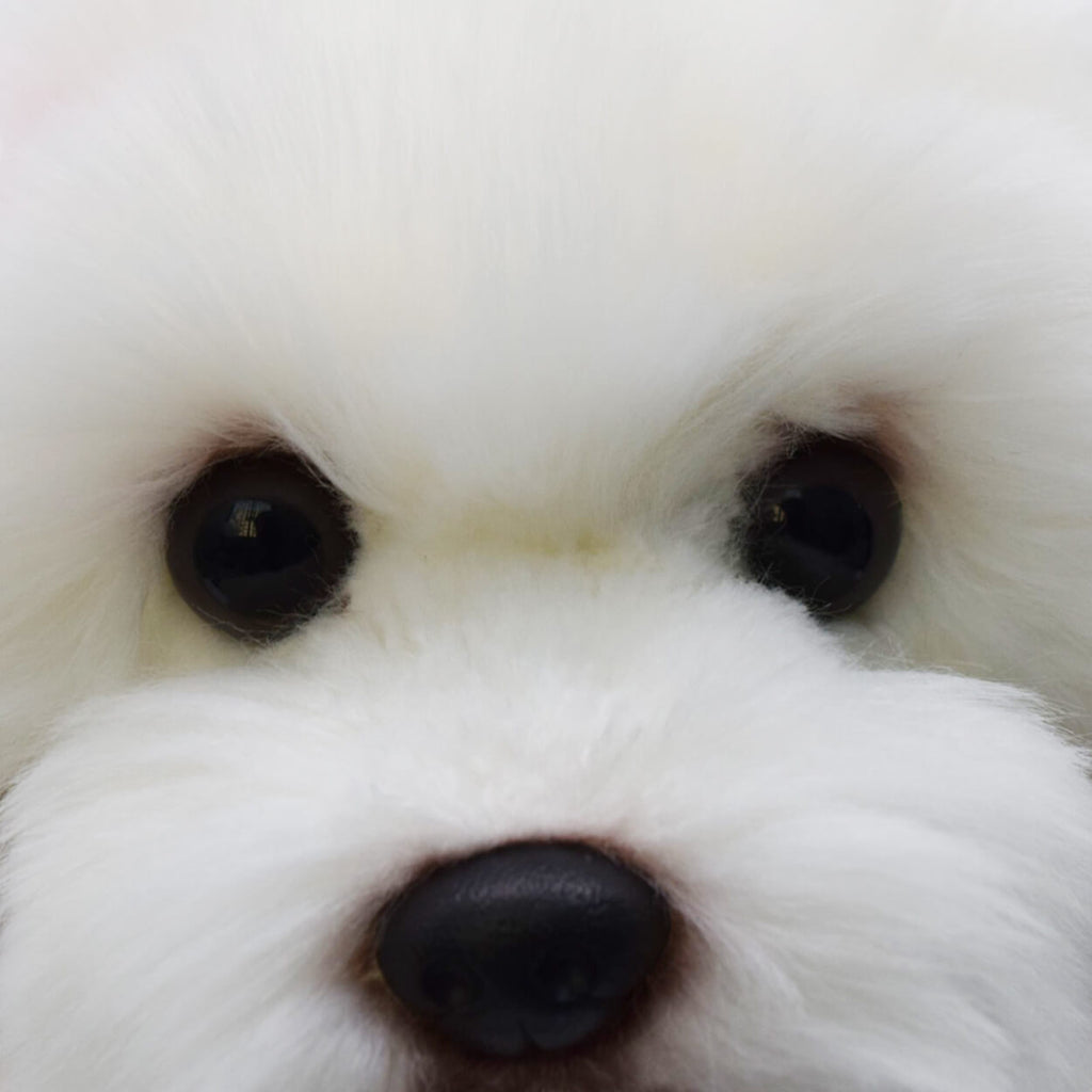 Realistic Maltese Dog Stuffed Animal Plush Toy – KEAIART