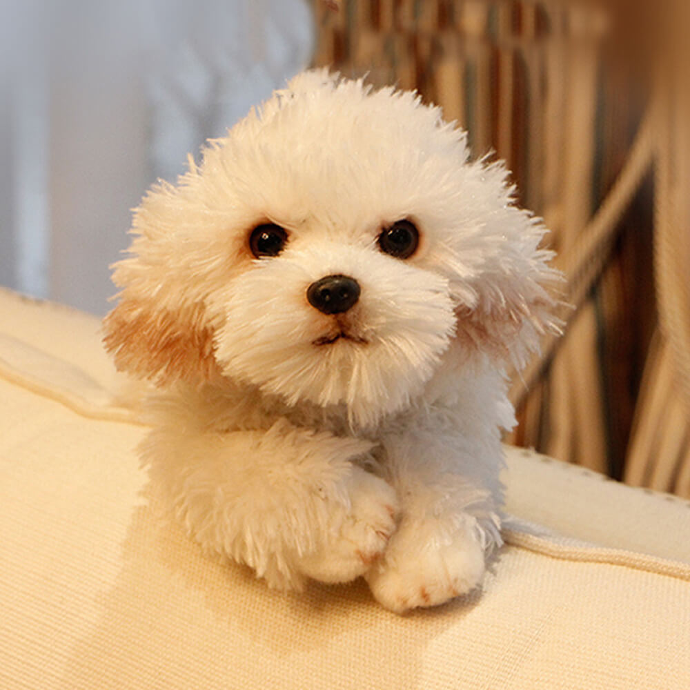 Cute Maltese Dog Stuffed Animal Plush Toy – KEAIART