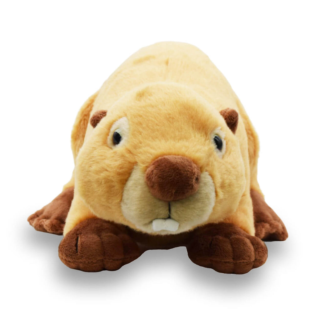 Realistic Beaver Stuffed Animal Plush Toy – KEAIART