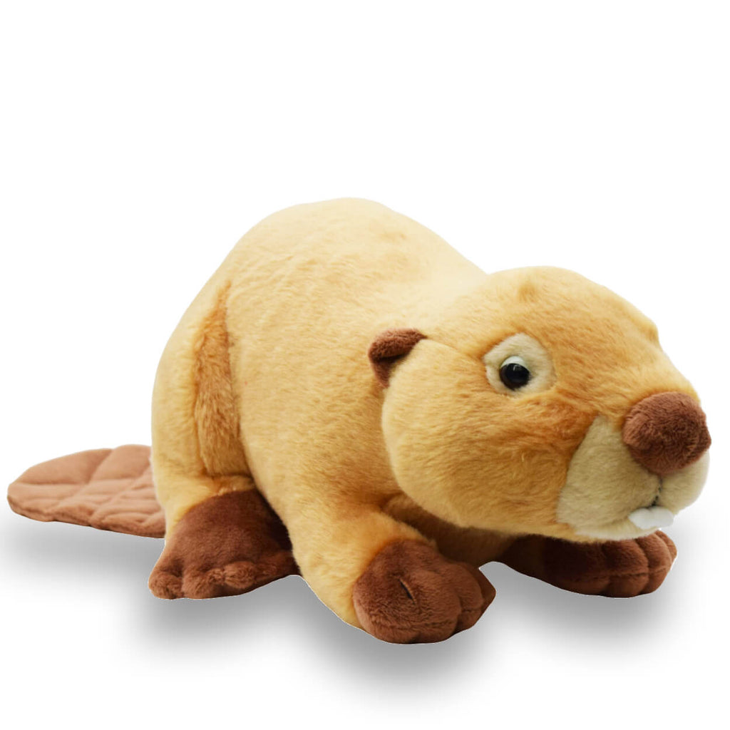 Realistic Beaver Stuffed Animal Plush Toy – KEAIART