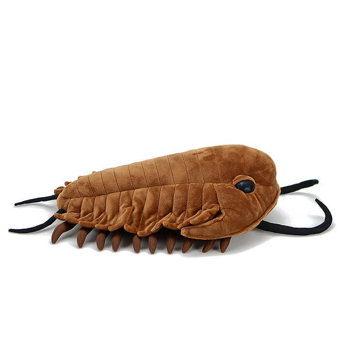 Realistic Redlichiida Trilobites Stuffed Animal Plush Toy – KEAIART
