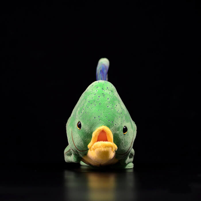 Realistic Mahi-mahi Stuffed Animal Plush Toy – KEAIART