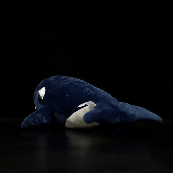 Realistic North Pacific Right Whale Stuffed Animal Plush Toy – KEAIART