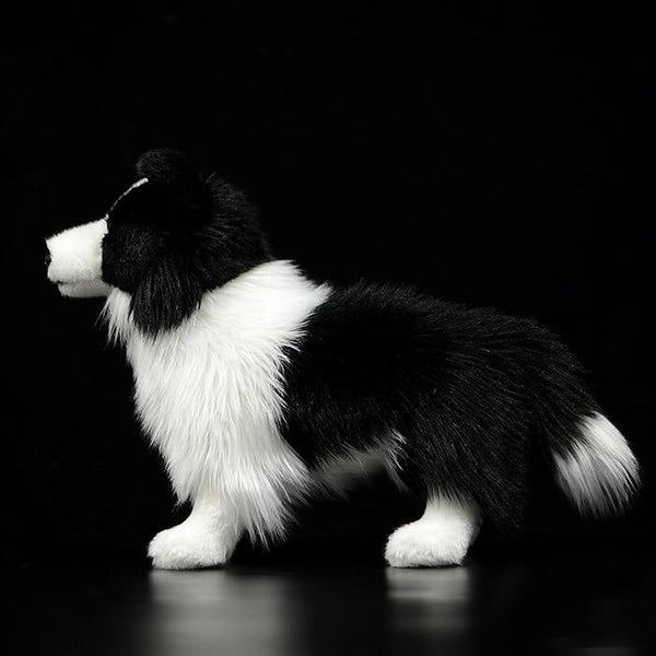 Realistic Border Collie Dog Stuffed Animal Plush Toy – KEAIART