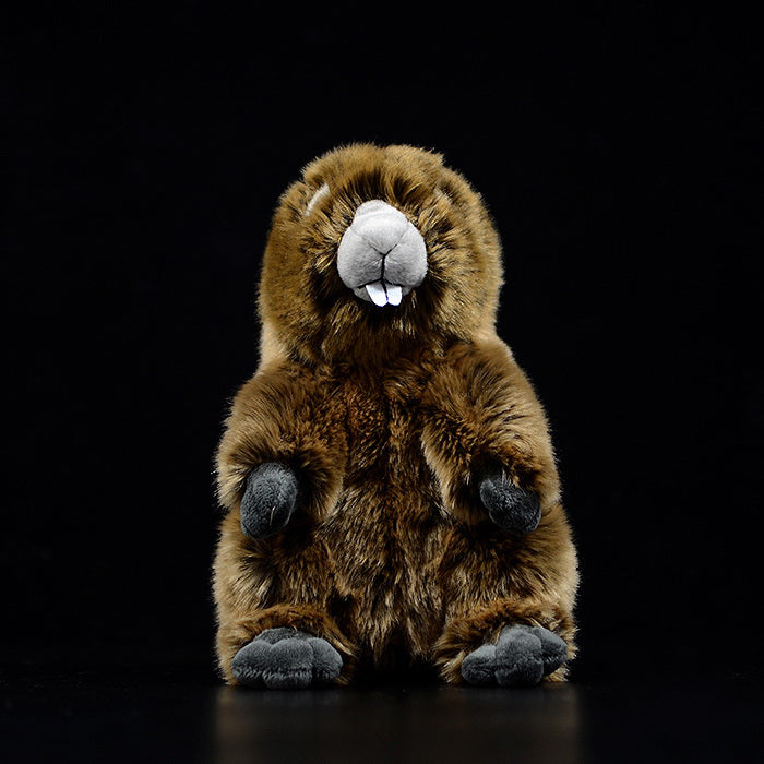 Realistic Groundhog Stuffed Animal Plush Toys – KEAIART