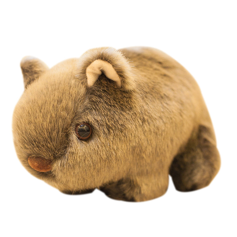Cute Wombat Stuffed Animal Plushie, Australia Plush Toys – KEAIART