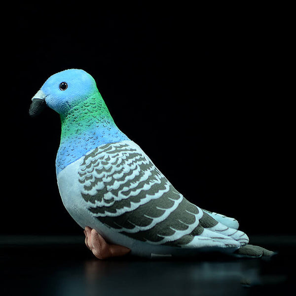 Realistic Pigeon Stuffed Animal Plush Toy – KEAIART