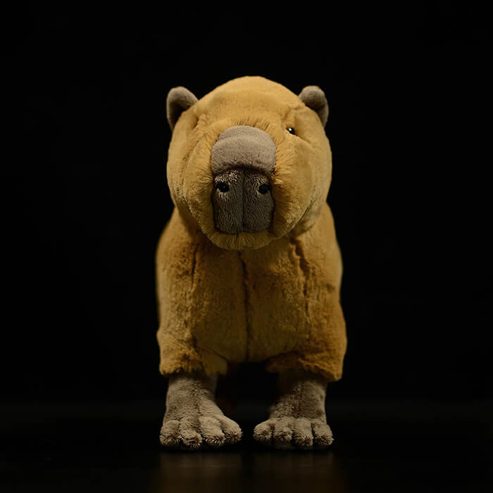 Realistic Capybara Stuffed Animal Plush Toy – KEAIART
