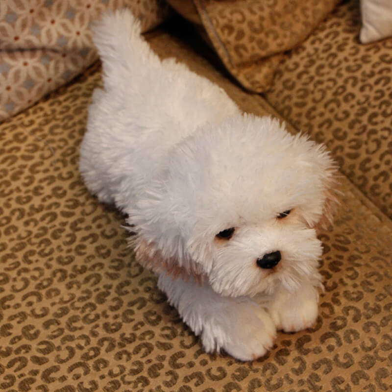 Cute Maltese Dog Stuffed Animal Plush Toy – KEAIART