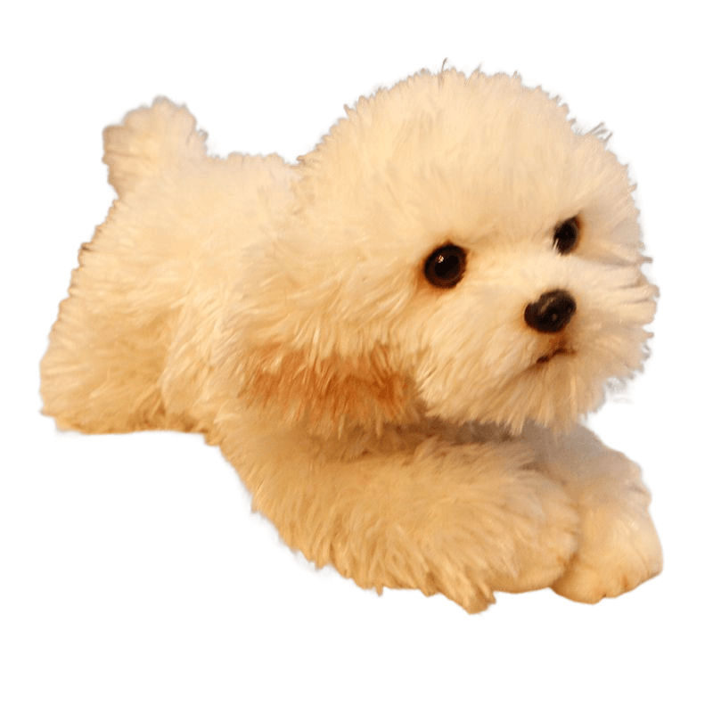 Cute Maltese Dog Stuffed Animal Plush Toy – KEAIART