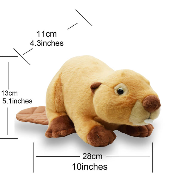 Realistic Beaver Stuffed Animal Plush Toy – KEAIART